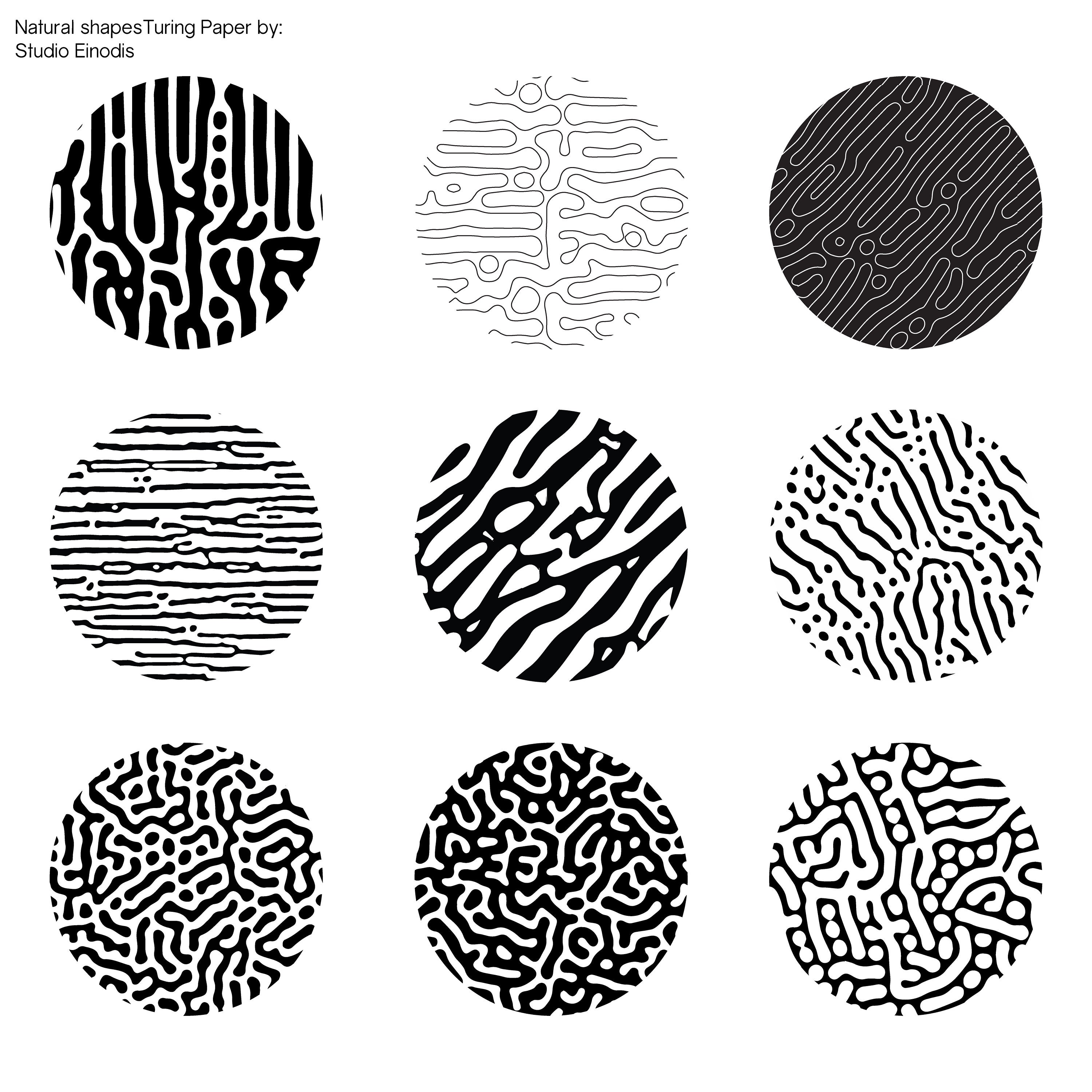 Natural Shapes Turing Paper Pattern Bundle- Black and White Vector and ...