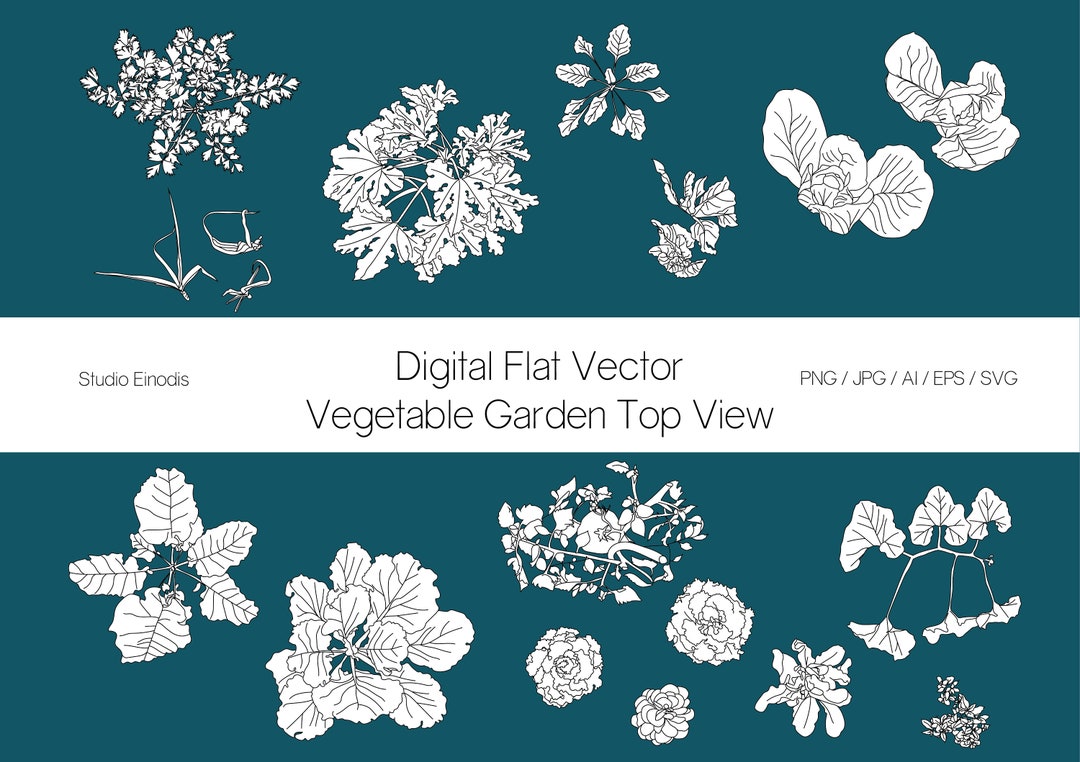 Flat Vector Vegetable Garden Top View - Digital Files of 12 Vegetables ...