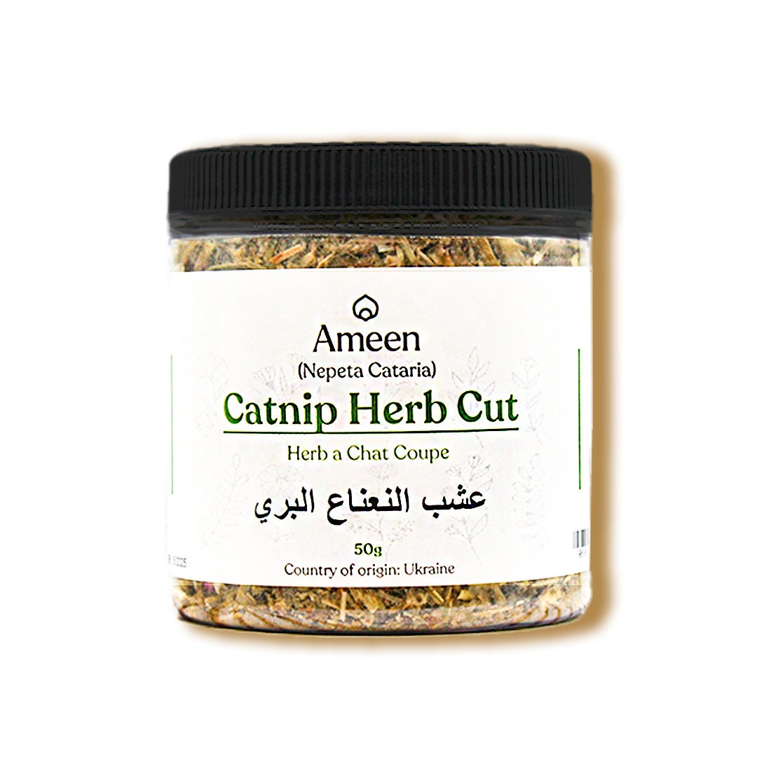 Catnip Herb Cut Nepeta Cataria Catmint 50g Jar - Etsy