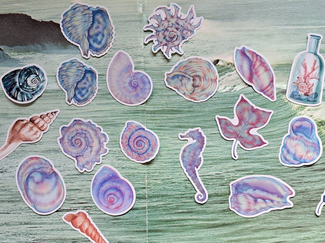 Seashell Sticker Pack: Coastal Scrapbooking, Marine Life Journaling ...