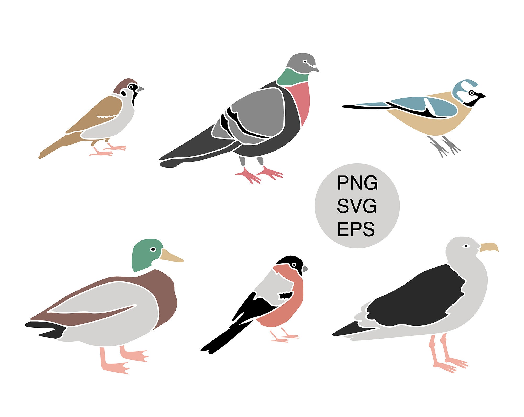 Bird Svg Bundle, Birds Png Files, Bird Sublimation, Duck Svg, Sea Gull ...