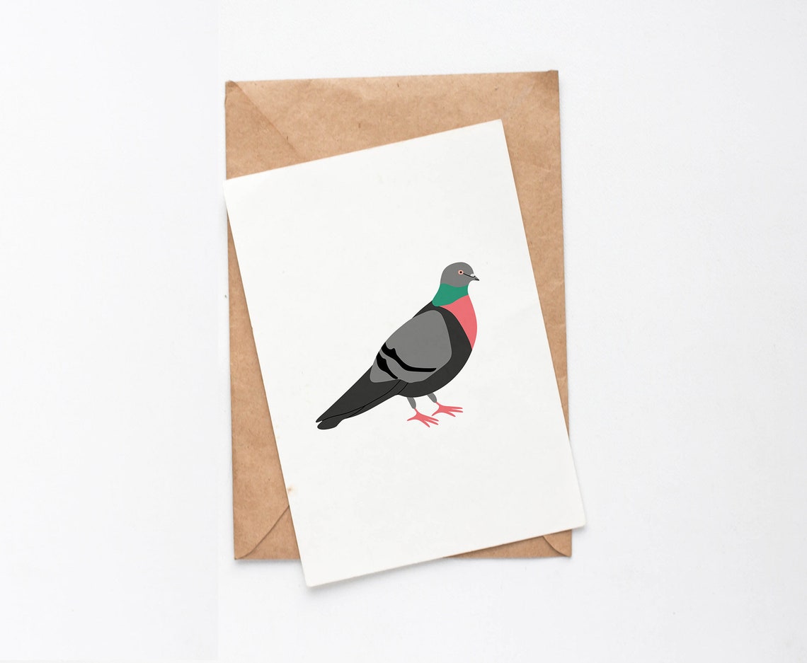 Bird Clipart Set, Birds PNG Files, Bird PNG Download, Bird Illustration ...