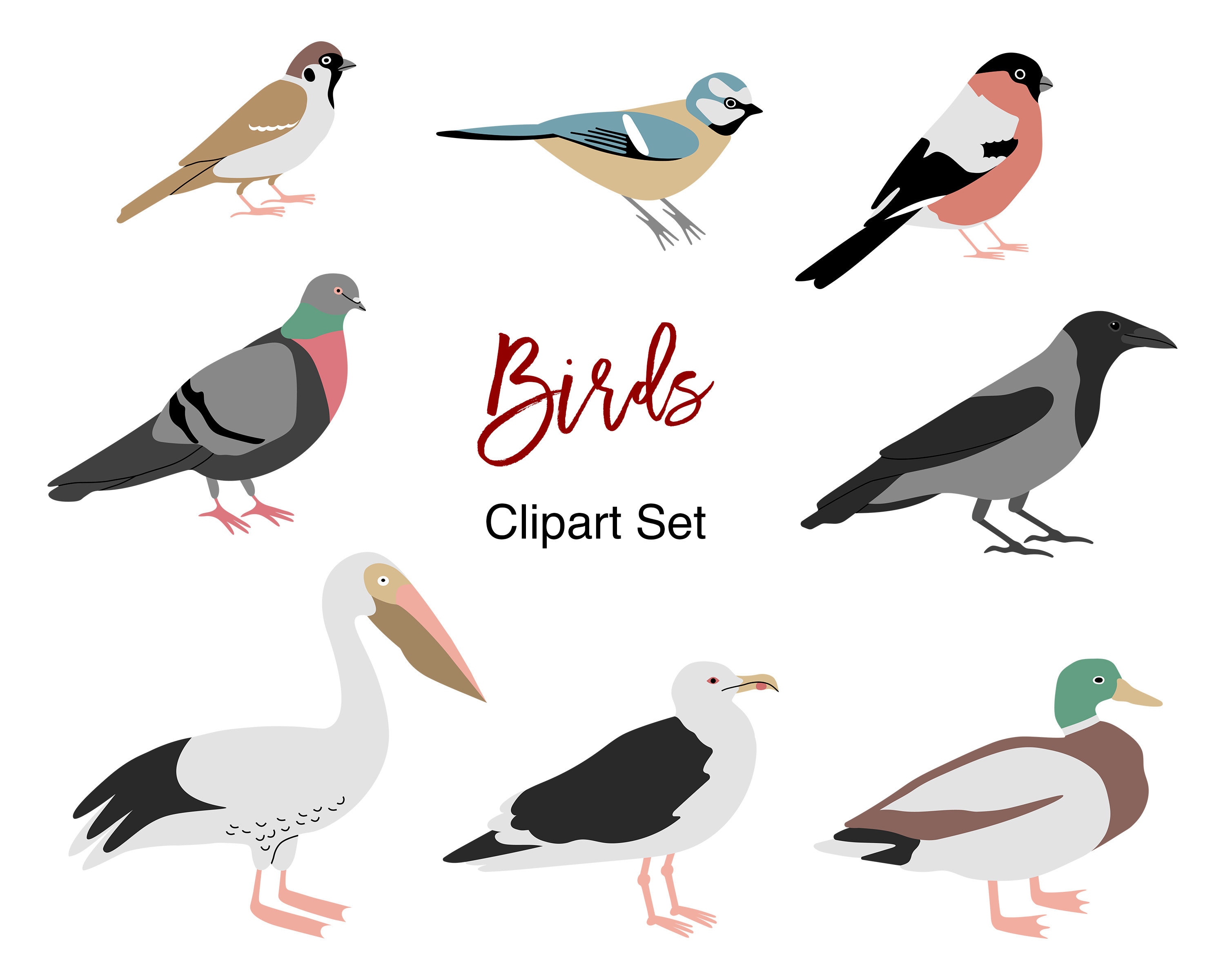 Bird Clipart Set, Birds PNG Files, Bird PNG Download, Bird Illustration ...