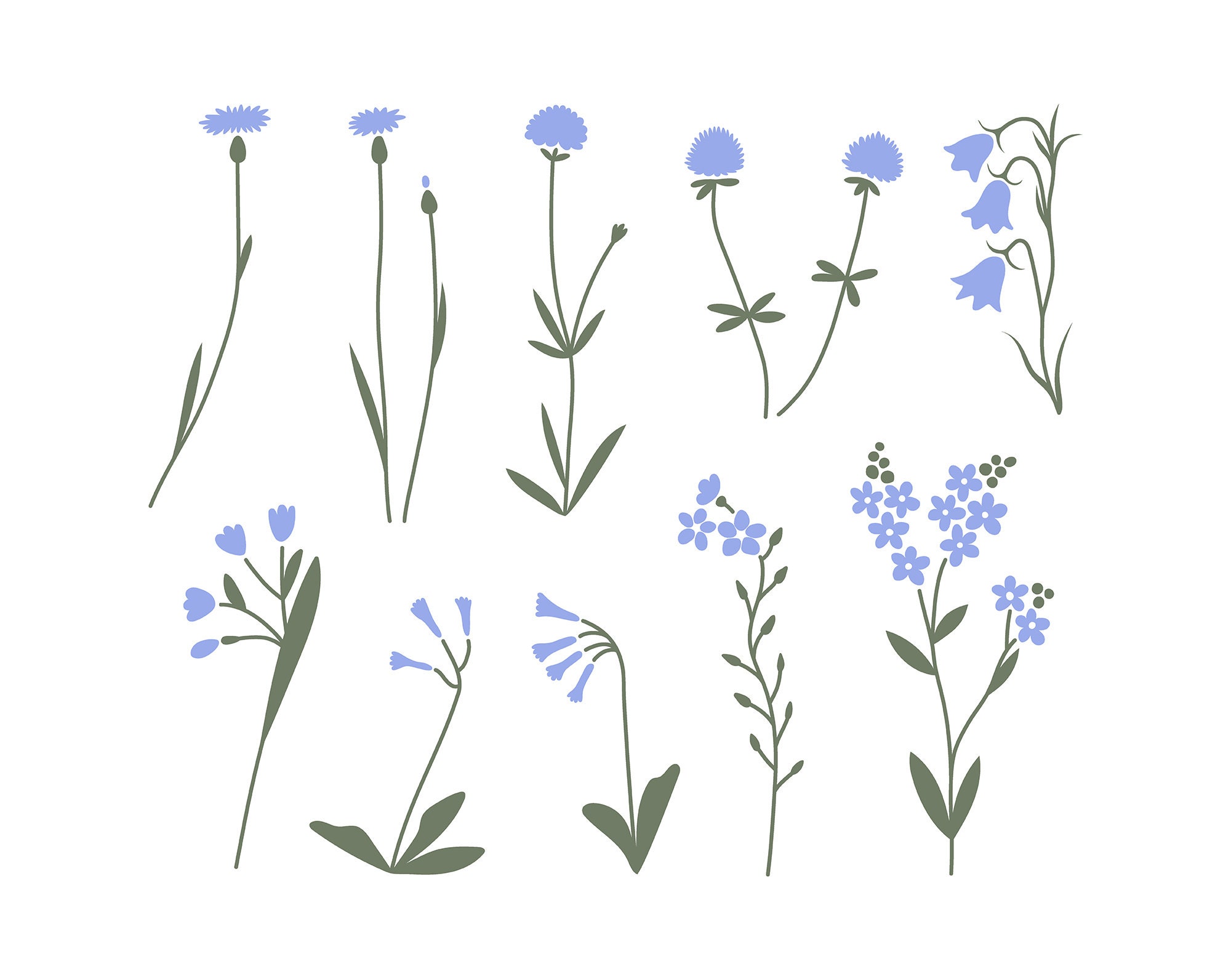 Blue Flowers Svg, Wildflowers Svg, Bell Flower, Blue Cornflower, Blue ...
