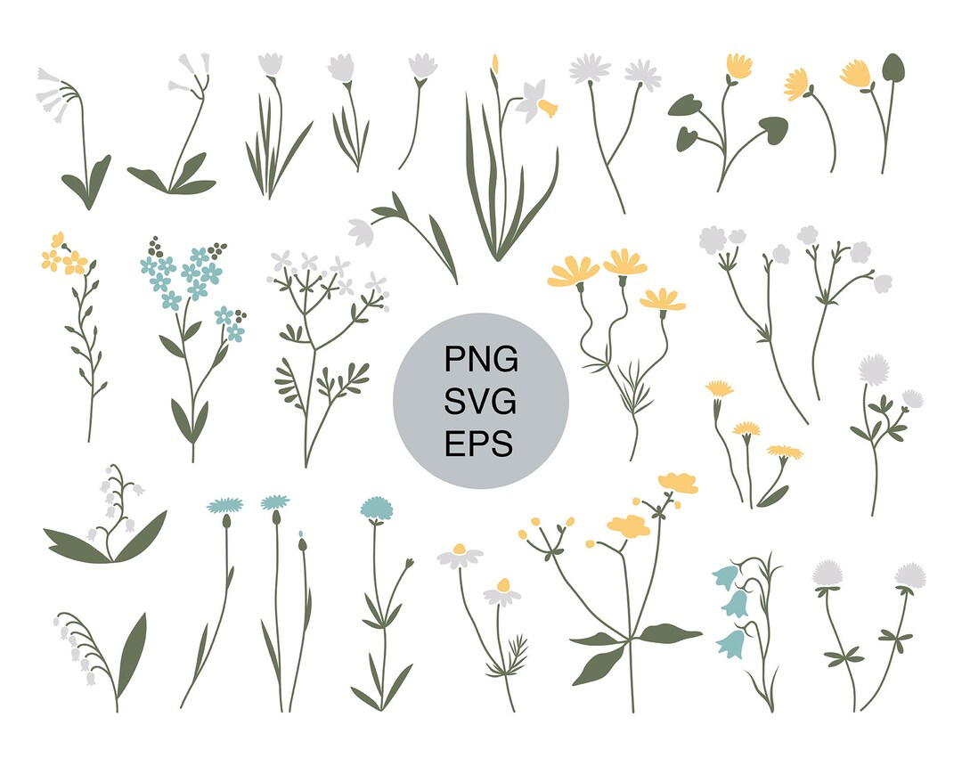 Wildflower Svg, Wild Flower Svg, Flowers Svg Bundle, Flower Clipart ...