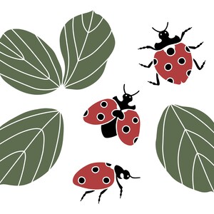 Ladybug Svg, Leaves Svg Designs, Lady Bugs Svg, Insect Svg Files ...
