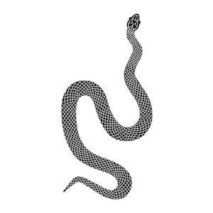 Snake Svg, Python Svg, Reptile Svg Cut File, Snake Cricut Svg ...