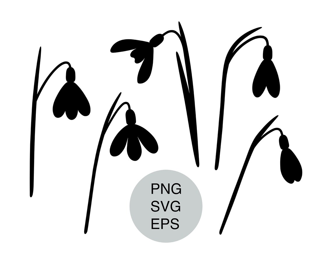 Snowdrop Flower SVG: Spring Wildflower Cut File (commercial Use) - Etsy