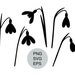 Snowdrop Flower SVG: Spring Wildflower Cut File (commercial Use) - Etsy