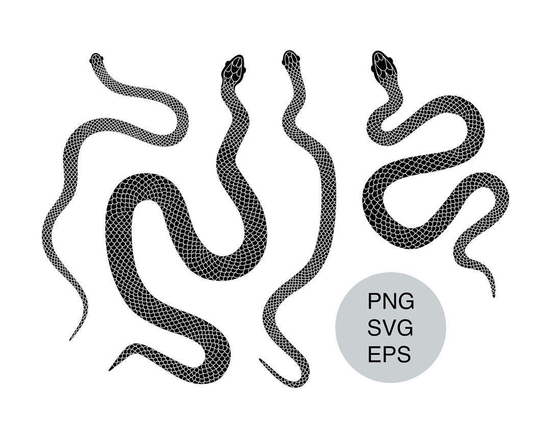 Snake Svg Bundle, Reptile Svg Cut File, Snake Cricut Svg, Python Svg ...