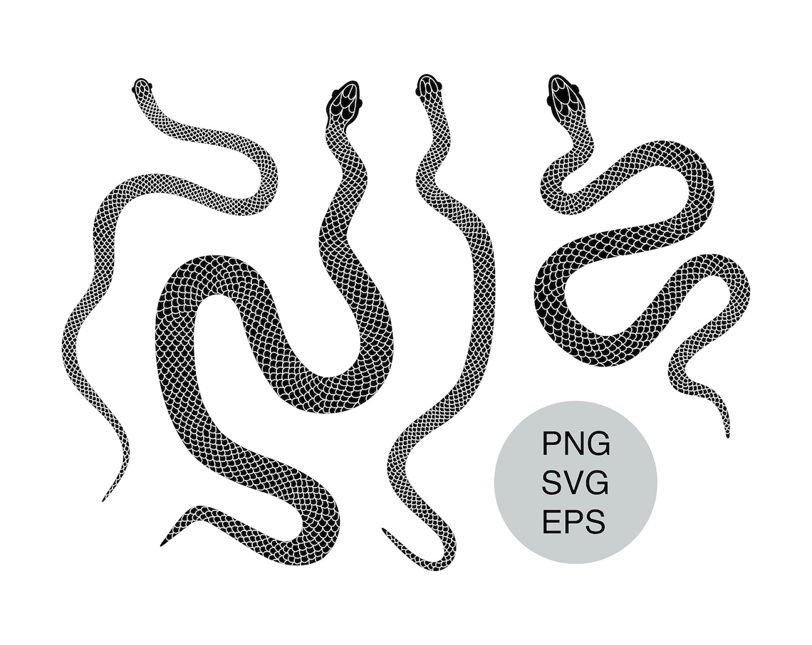 Snake Svg Bundle, Reptile Svg Cut File, Snake Cricut Svg, Python Svg ...