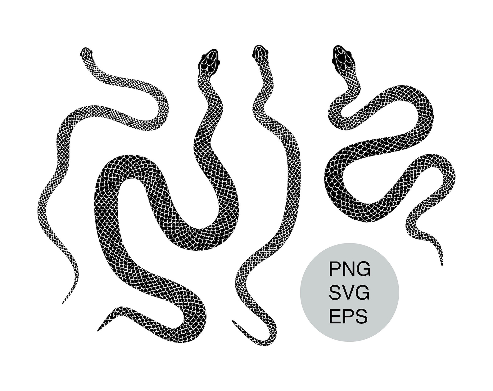 Snake Svg Bundle, Reptile Svg Cut File, Snake Cricut Svg, Python Svg ...