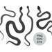 Snake Svg Bundle, Reptile Svg Cut File, Snake Cricut Svg, Python Svg ...