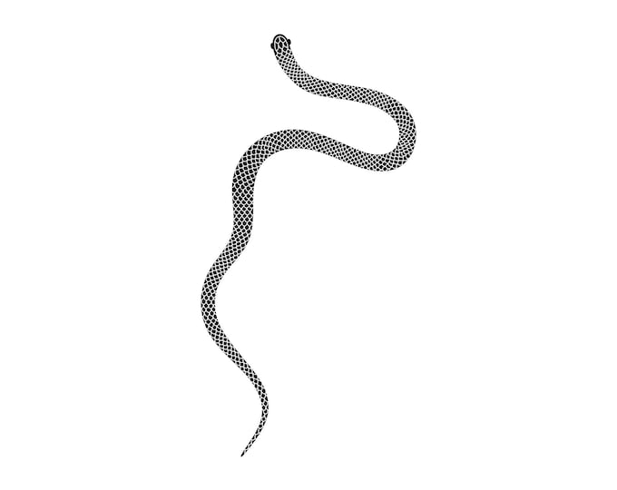Snake Head Vector Images SVG Silhouette Reptile Clipart Snake SVG Image ...