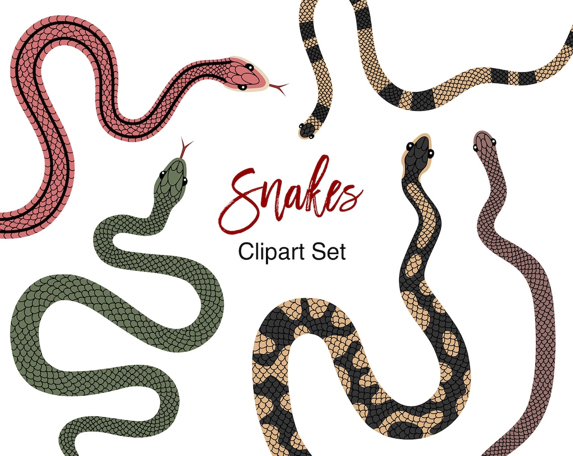 Snake Clipart Set: Hand-drawn Snake Illustration (PNG, EPS, SVG) - Etsy
