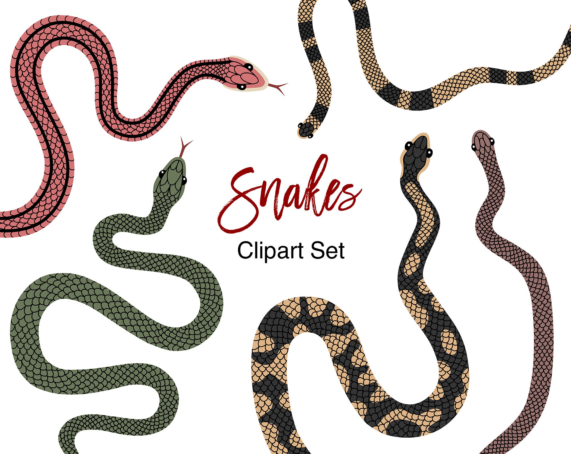 Snake Clipart Png, Snake PNG Files, Snakes Digital Clipart, Snake ...