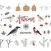 Autumn Clipart Set, Autumn PNG Files, Fall Clipart Bundle, Autumn ...
