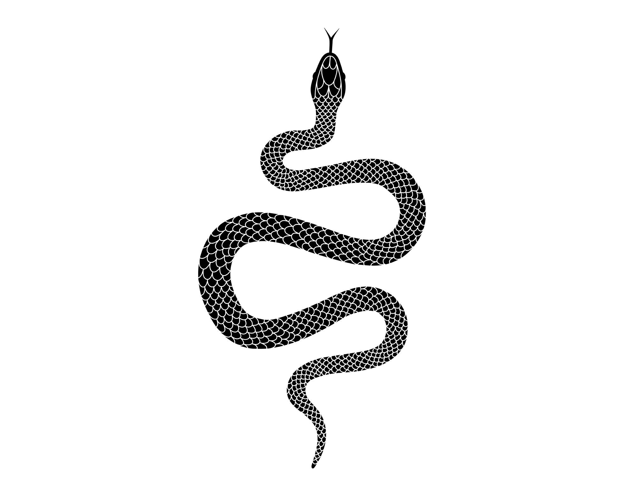 Hand Drawn Snake SVG: Reptile Cut File, Cricut & Silhouette (commercial ...