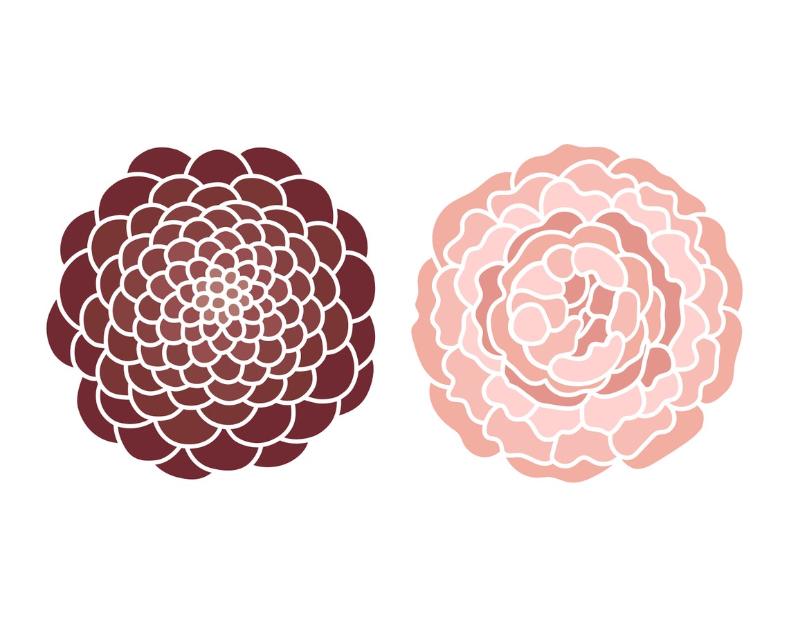 Peony Svg, Eps, Png Download, Peony Flowers, Peonies, Flower Svg ...