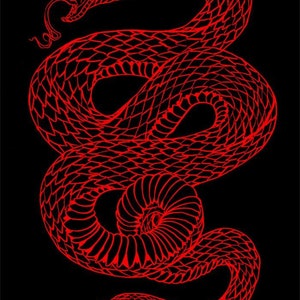 60 PCS | Red Grunge Aesthetic Wall Collage Kit • Red and Black Grunge ...