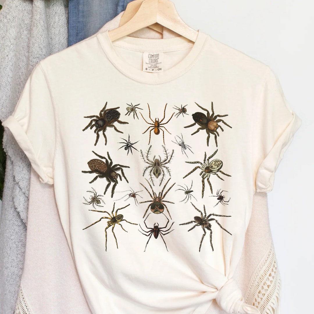 Retro Spider Oversized Comfort Colors Tshirt, Vintage Style Cottagecore ...