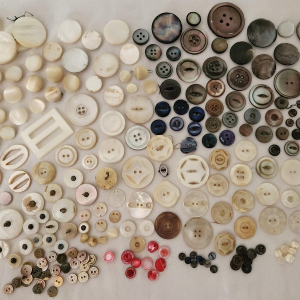 Colonial Buttons - Etsy