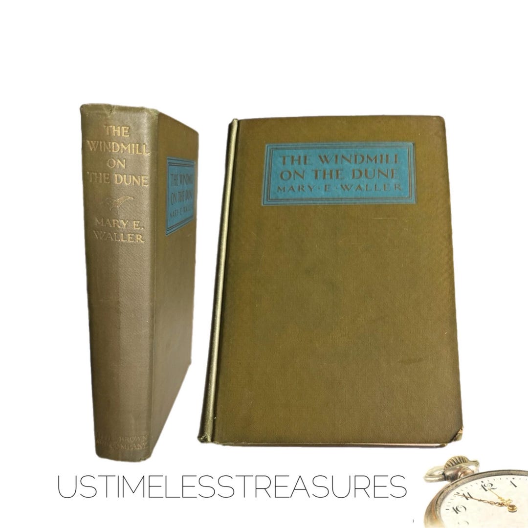 1931 the Windmill on the Dune First Edition Vintage Book. - Etsy