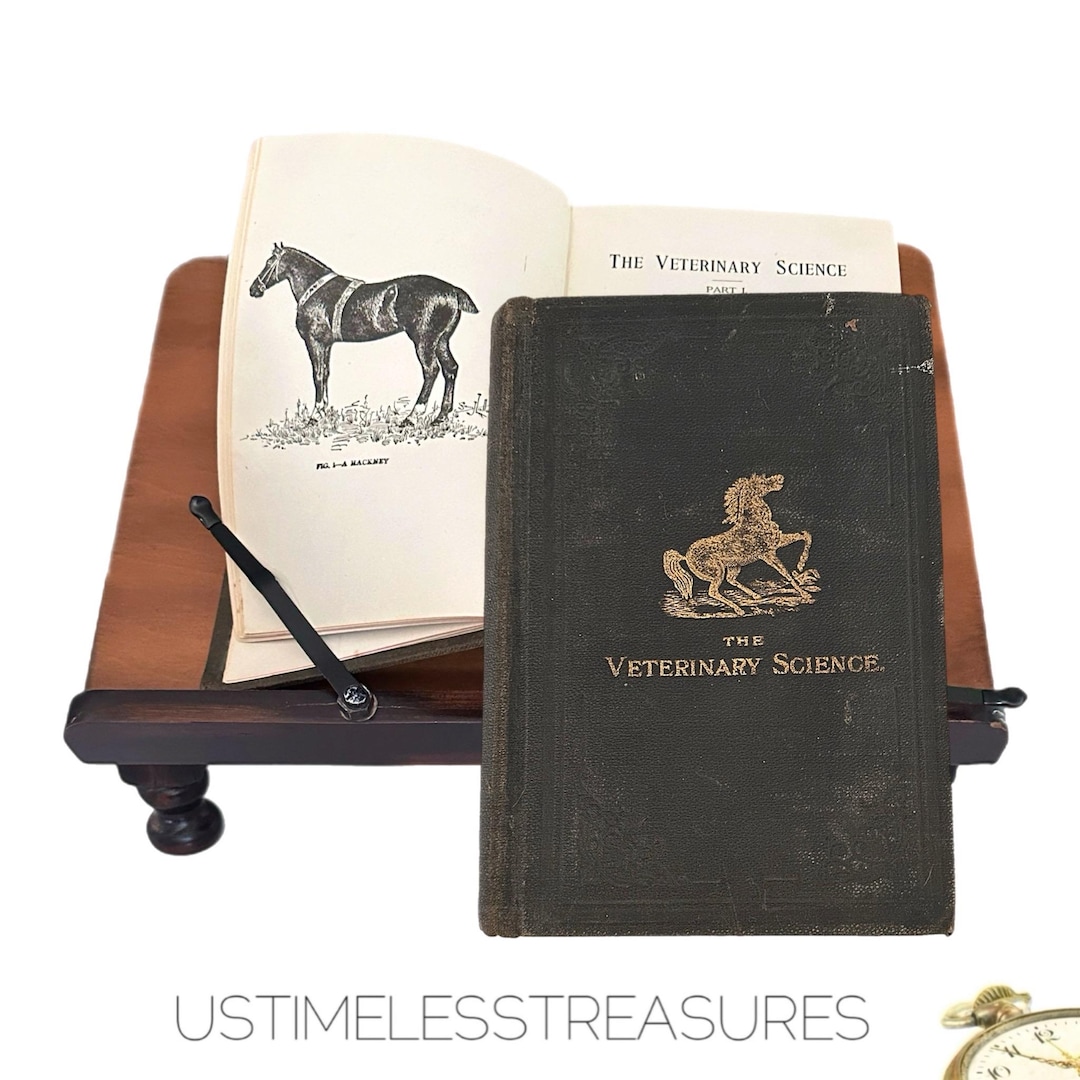 1907 the Veterinary Science: the Anatomy, Diseases, Treatment of ...