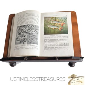 1938 Exotic Aquarium Fishes: A Work of General Reference by William T ...