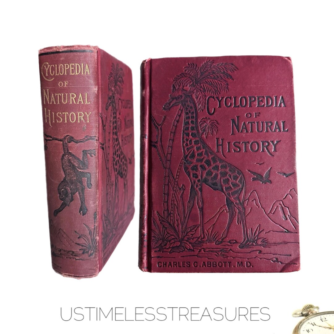 1887 Cyclopedia of Natural History: First Edition Animal Life of ...