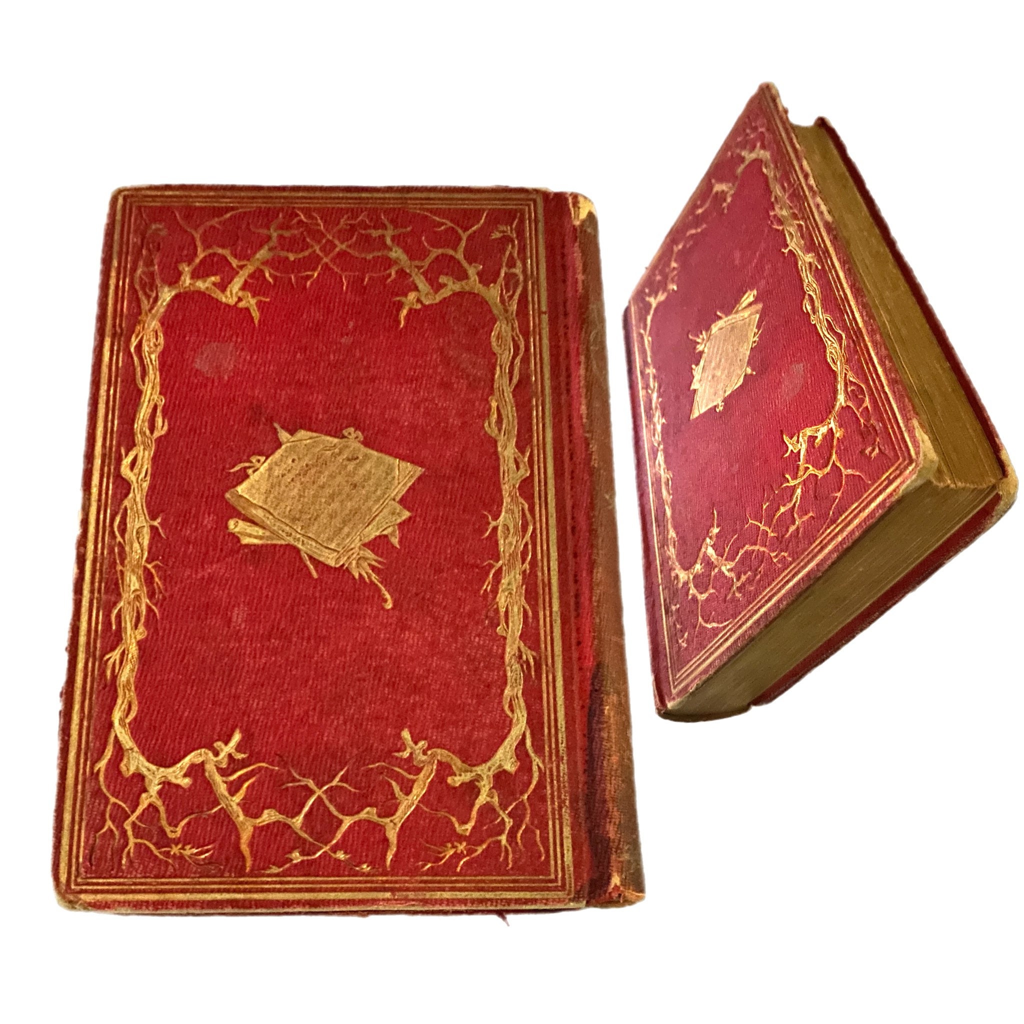 1853 1st Ed Woman Journalist Fern Leaves From Fanny’s Port-folio ...