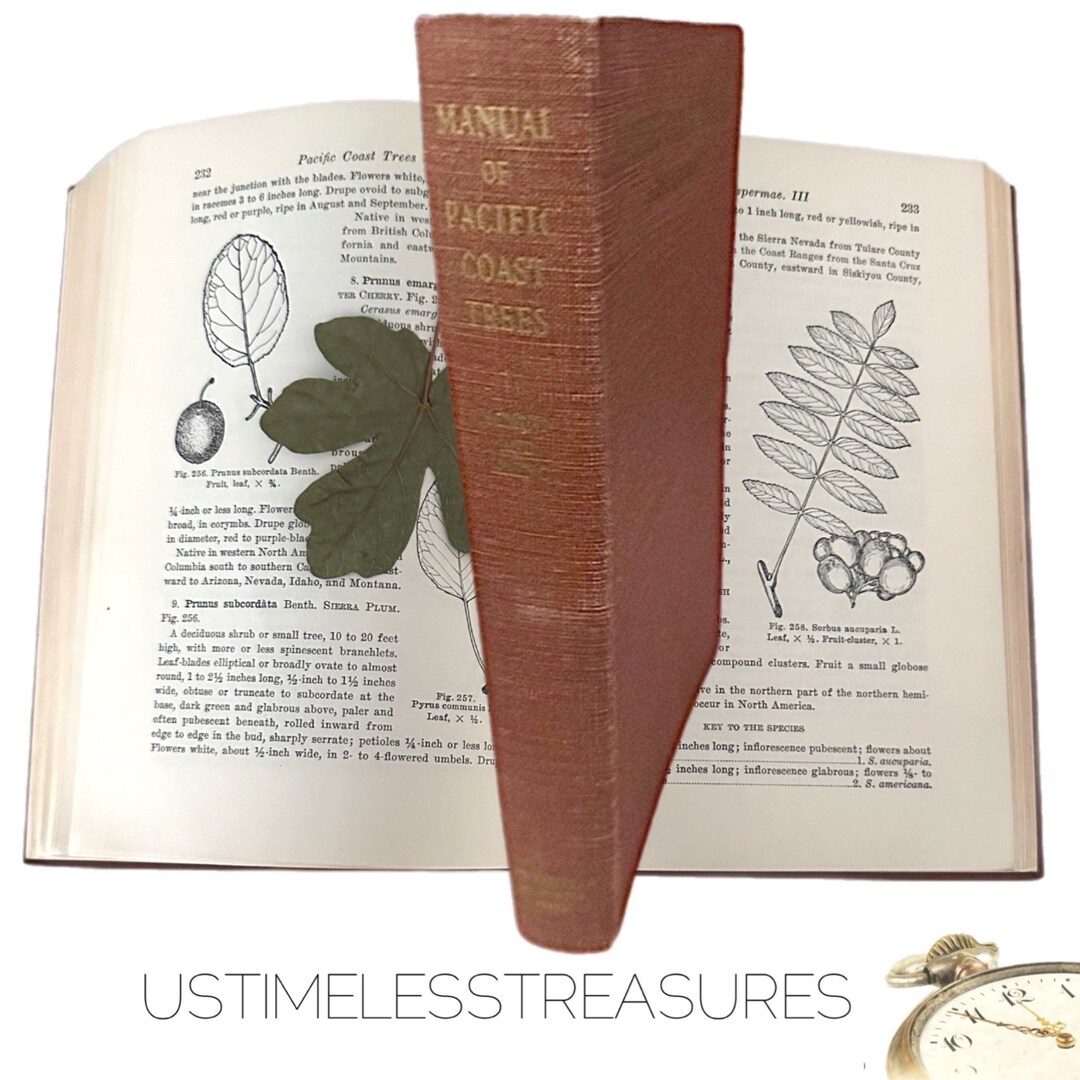 1937 Illustrated Manual of Pacific Coast Trees Antique Science Book - Etsy