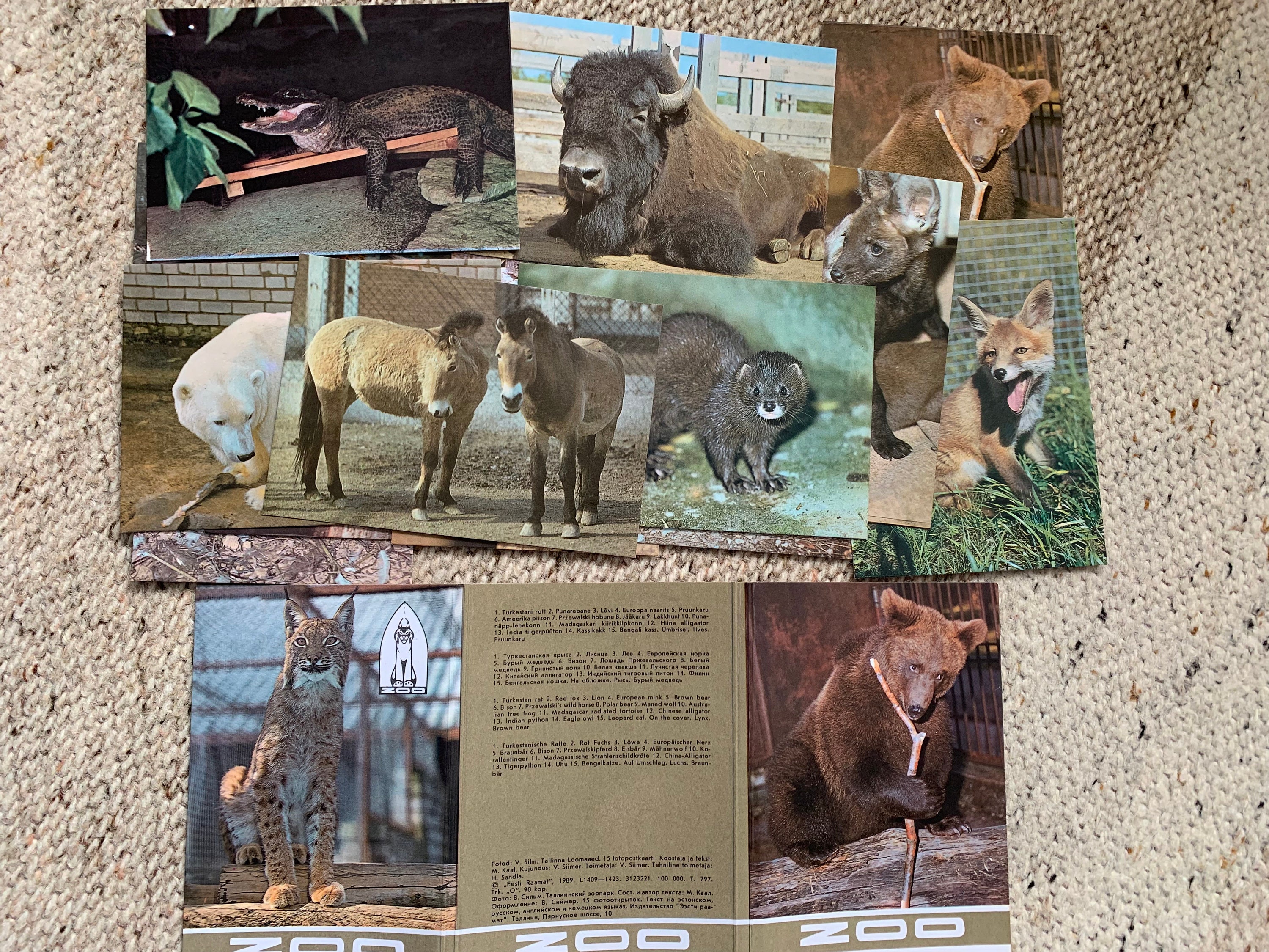 ANIMAL Postcards Tallinn Zoo From 1989. Vintage Set of 15 Colorful ...
