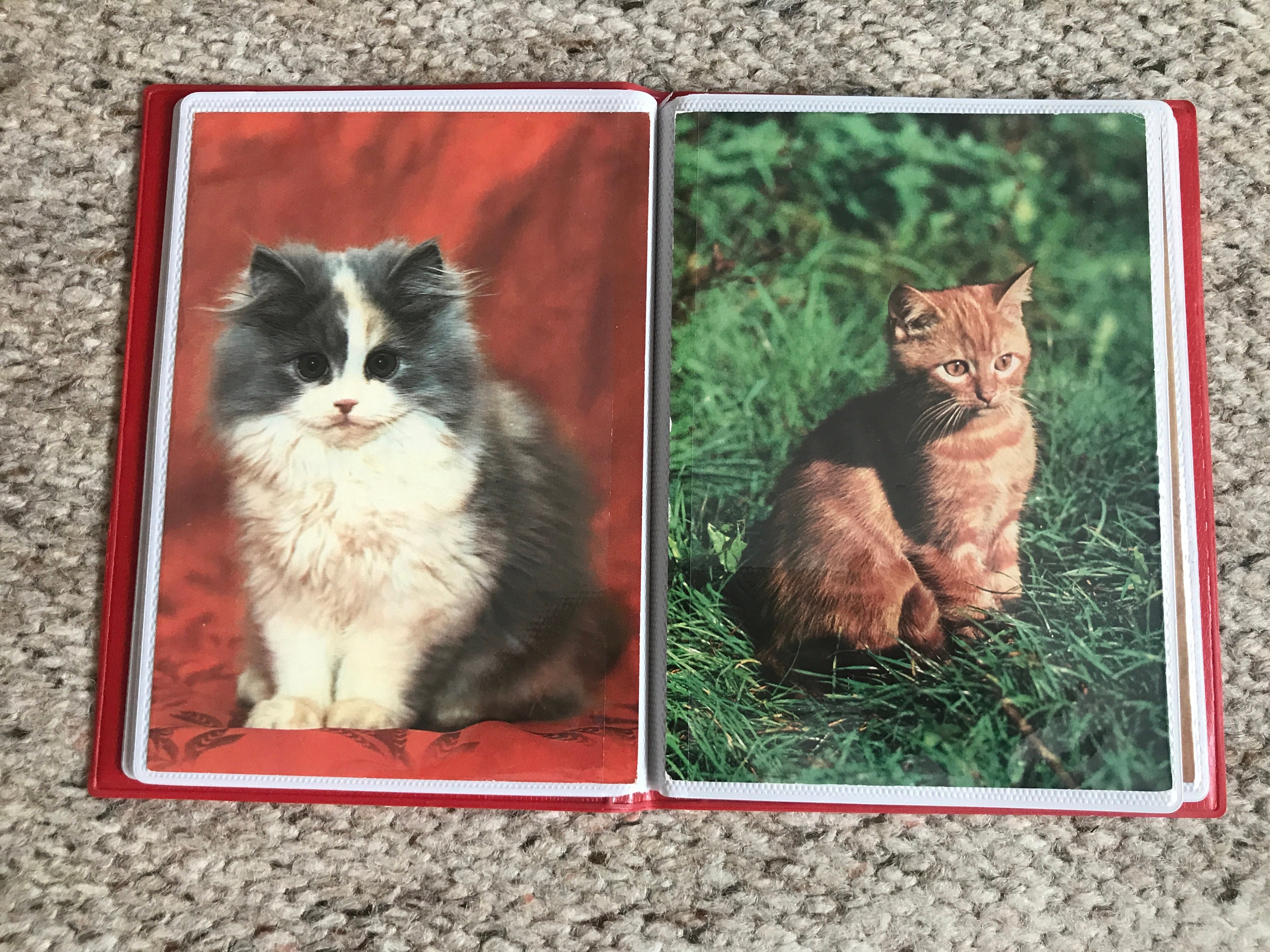 24 Vintage Cat Postcards in a Lovely Red Photo Album. Collectible or ...