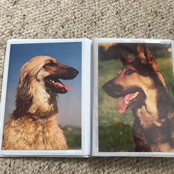Vintage Dog Postcard - Etsy