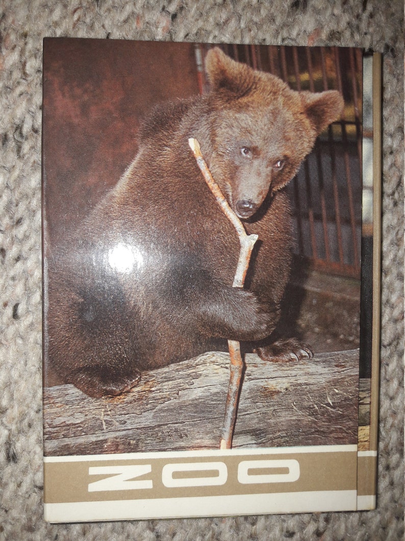 ANIMAL Postcards Tallinn Zoo From 1989. Vintage Set of 15 Colorful ...