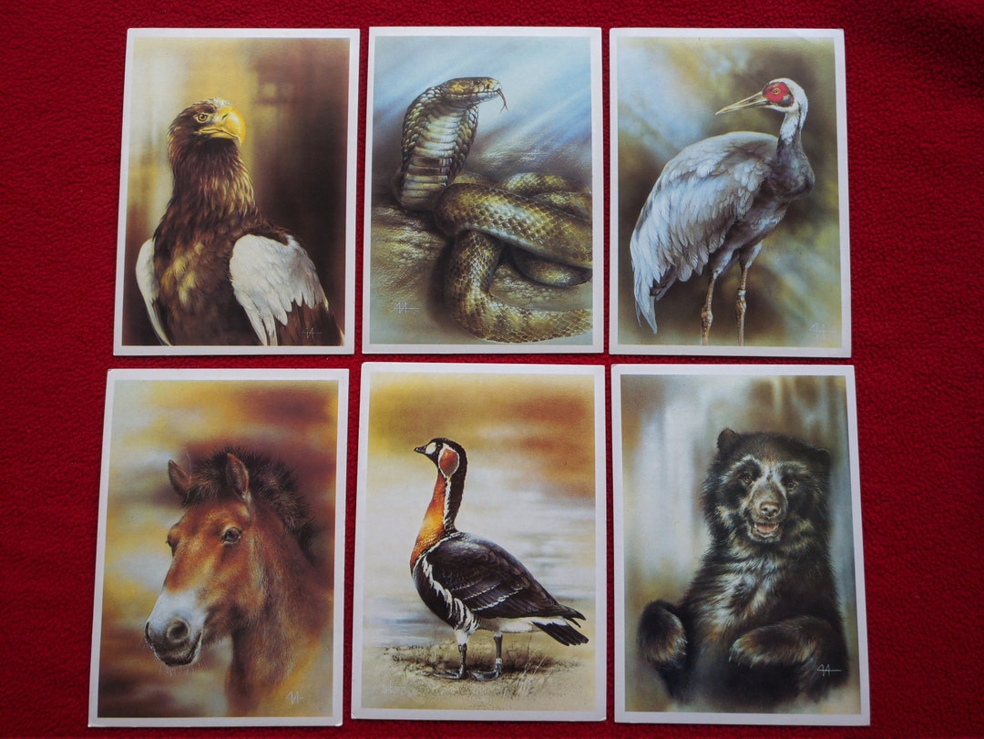 6 Isakov ANIMAL POSTCARDS Soviet Artist Isakov. Vintage USSR Postcards ...