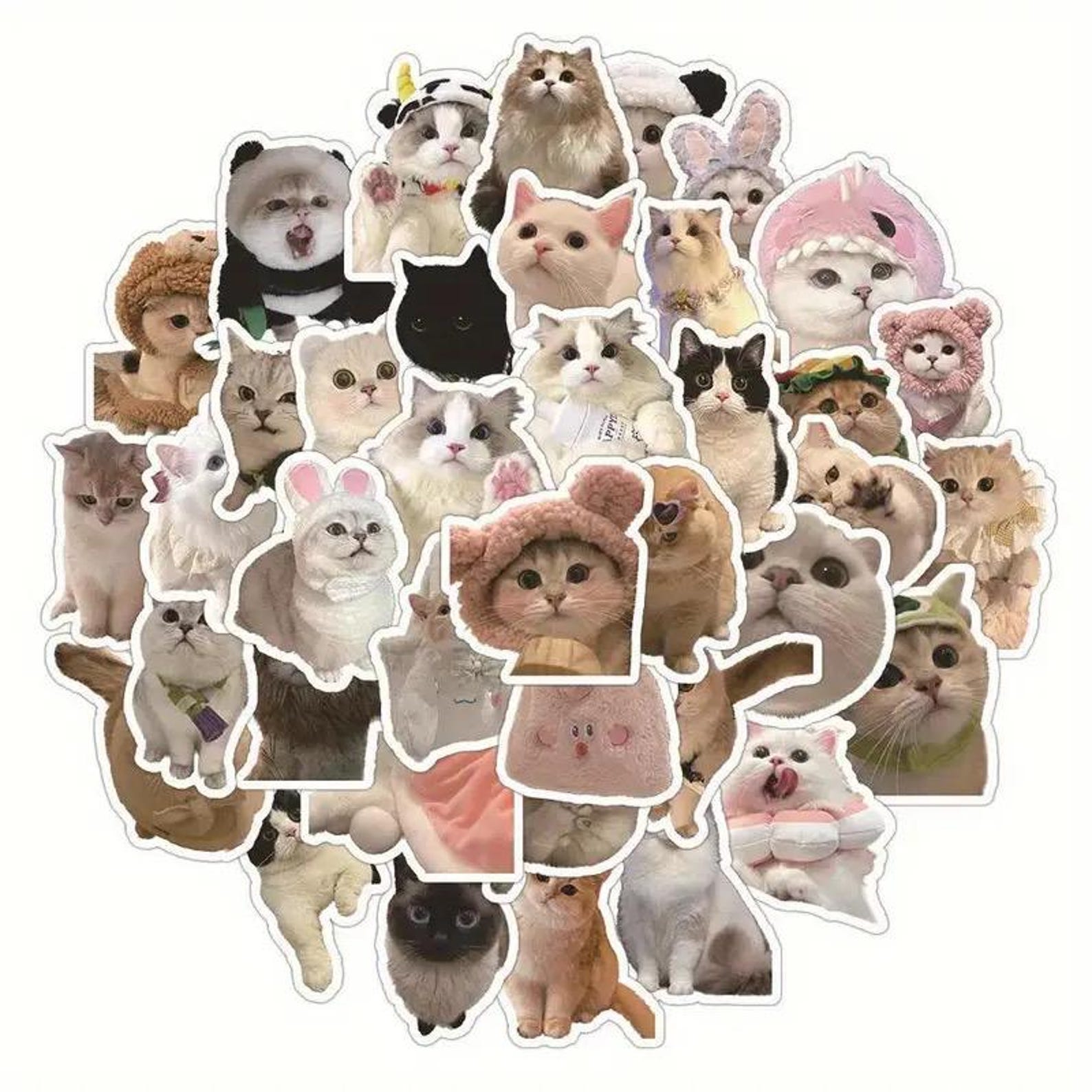 25/50 Cute Cat Stickers Vintage Junk Journal Planner DIY Craft Snail ...