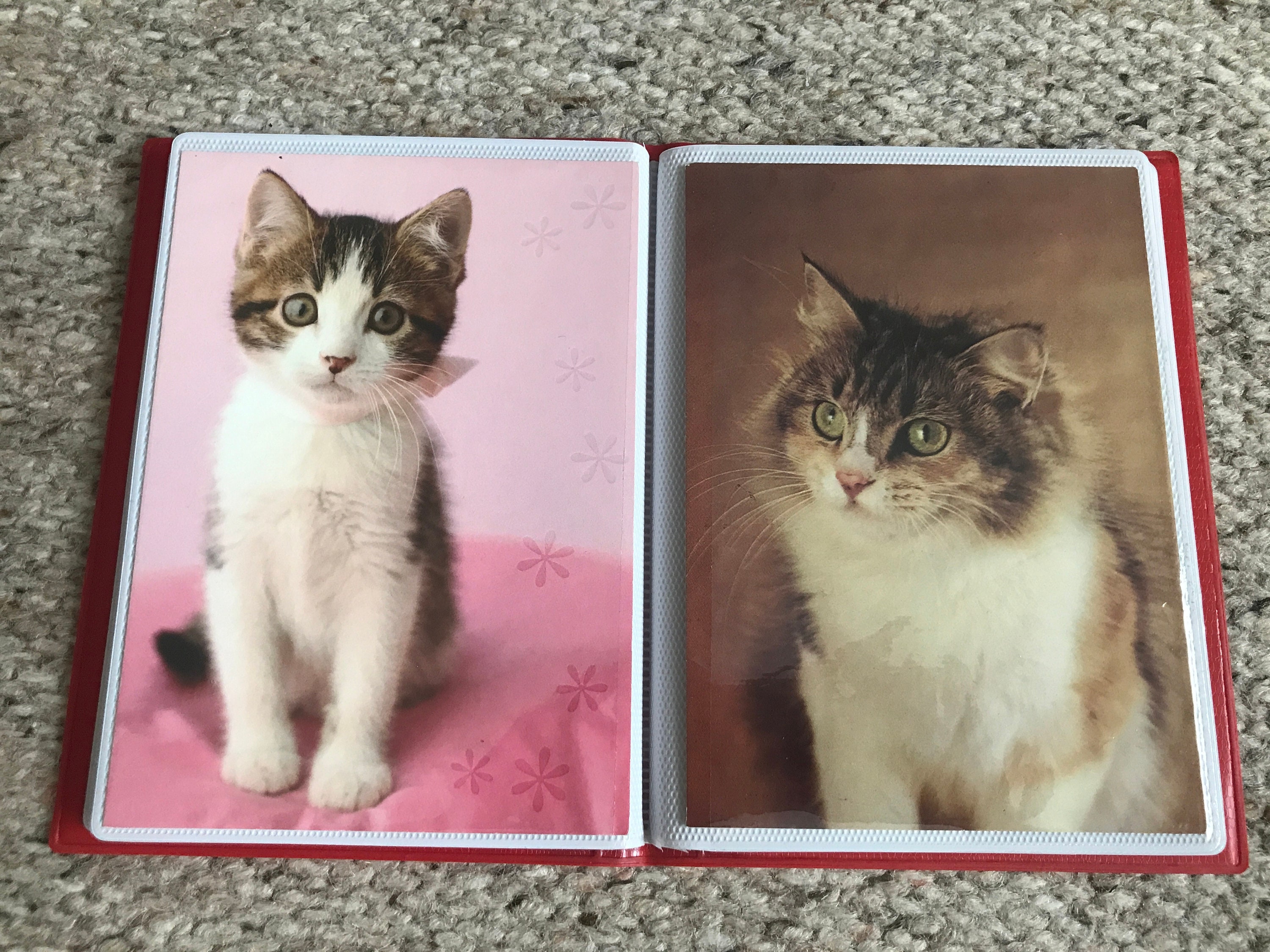 24 Vintage Cat Postcards in a Lovely Red Photo Album. Collectible or ...