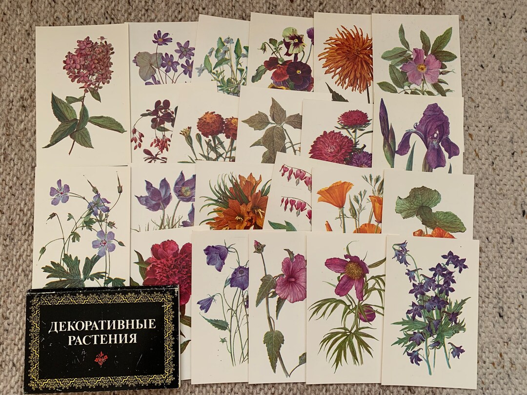 DECORATIVE PLANTS - 16 Vintage Floral/flower Postcards From Soviet Time ...