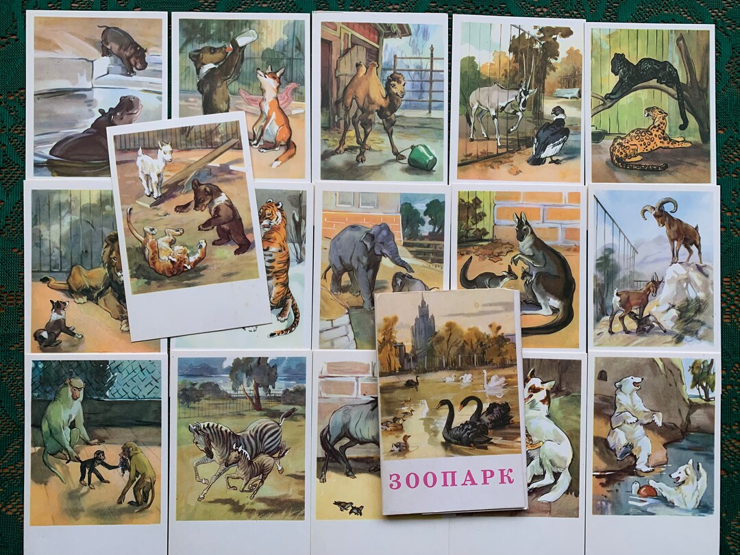 ANIMAL Art Postcards. Set of 16 Vintage Cards From 1969 "zoo" Soviet ...
