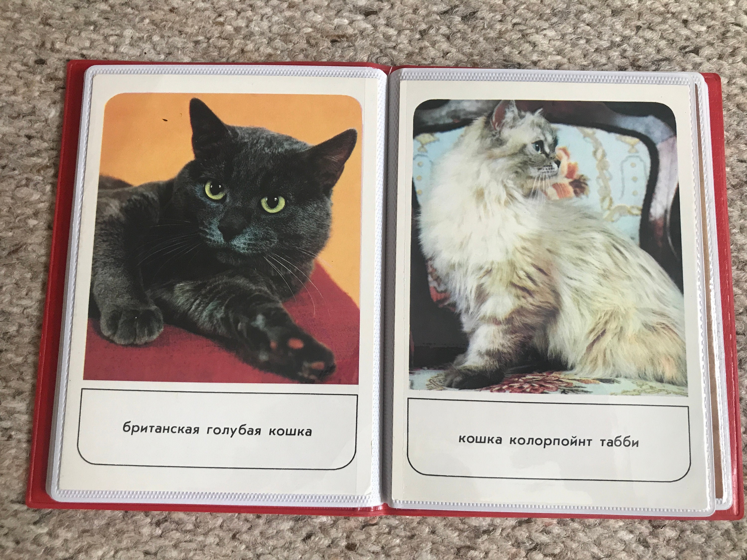 24 Vintage Cat Postcards in a Lovely Red Photo Album. Collectible or ...