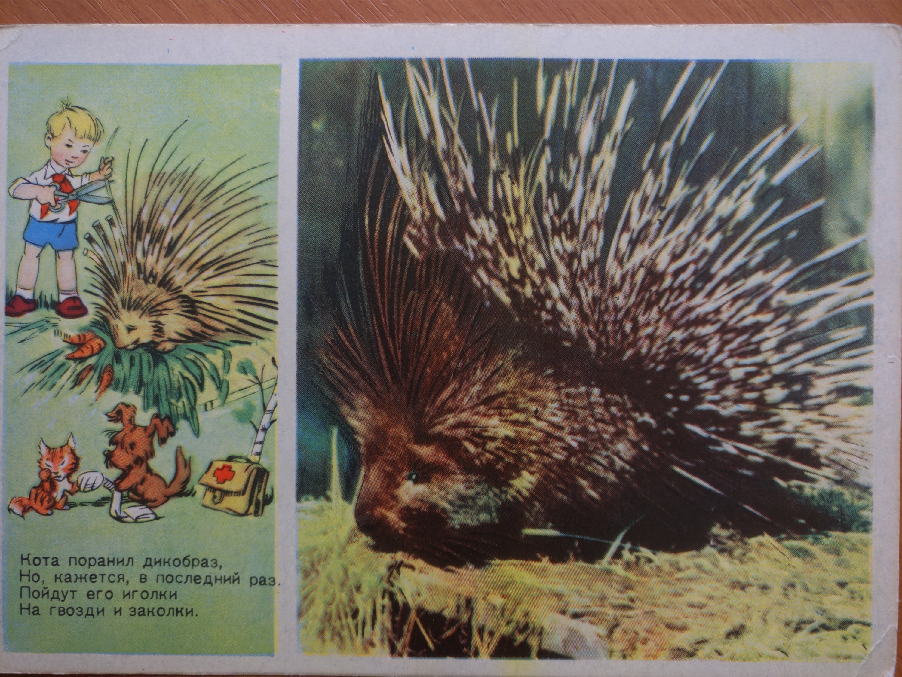 Postcards Paper & Party Supplies animal art by Soviet artist Boris ...
