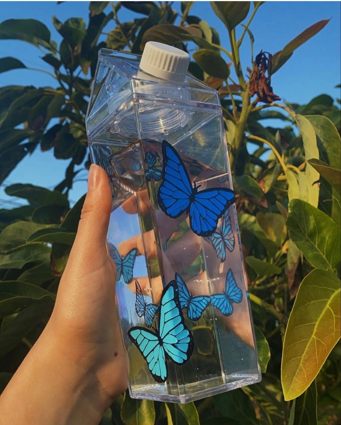 Butterfly Milk Carton Water Bottle - Etsy
