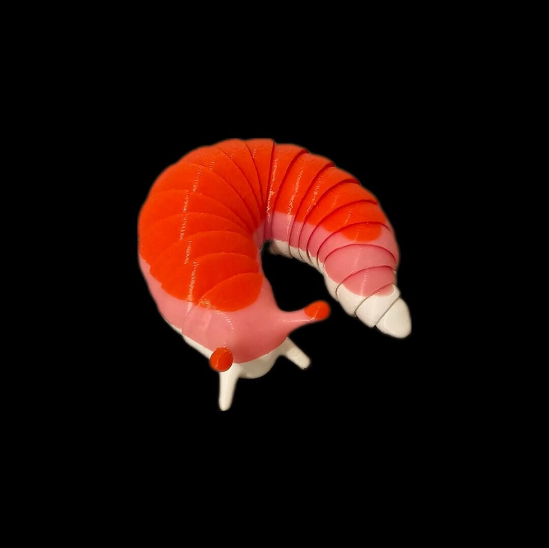 Flexi Fidget Slug-mulicolor Articulated Toy-anti Stress - Etsy