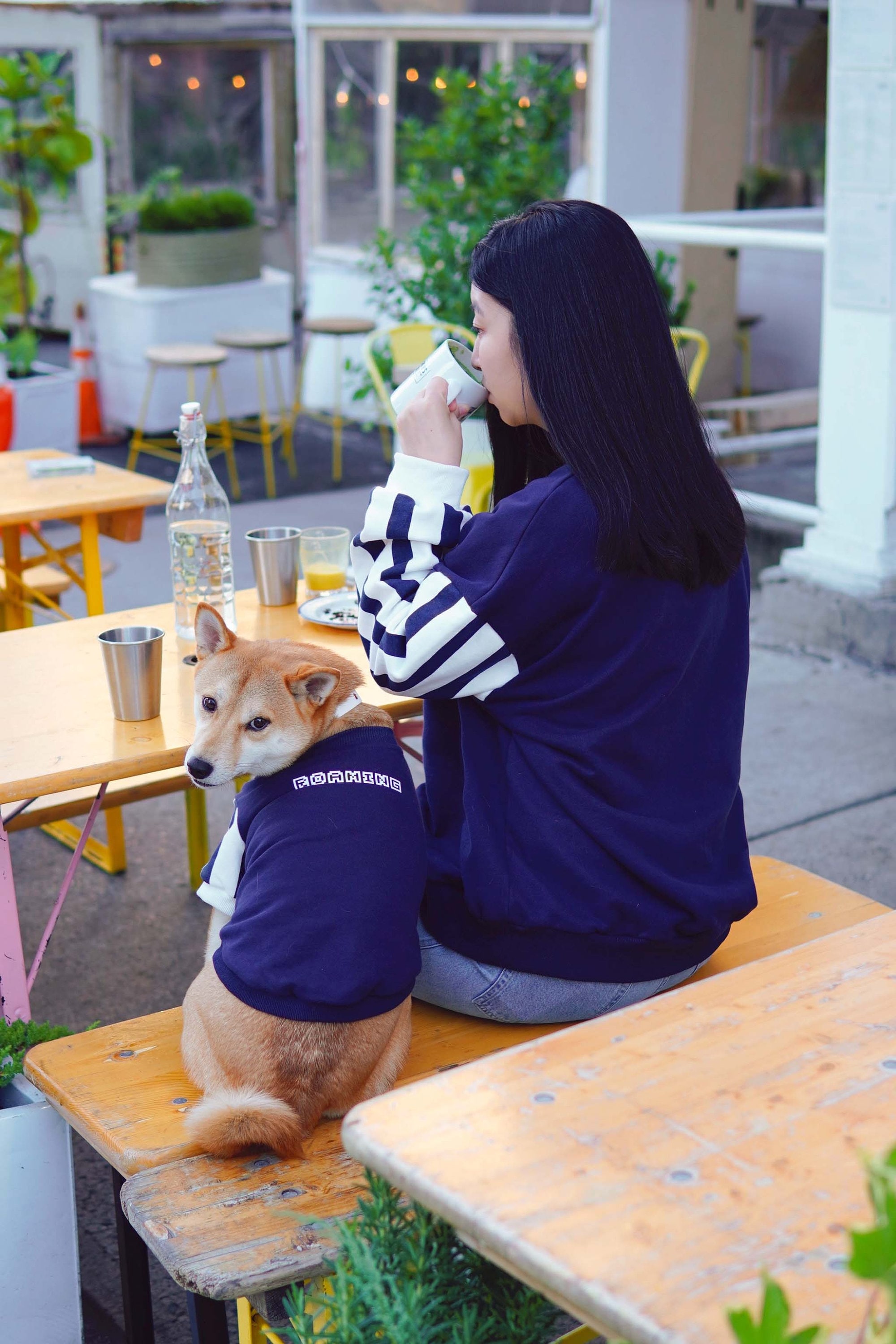 Roaming Matching Dog and Human Sweatshirt Matching Dog and Owner ...