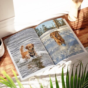 Pet Memorial Photo Book, Loss of Pet Gift, Loved You Your Whole Life ...