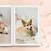 Pet Memorial Photo Book, Loss of Pet Gift, Loved You Your Whole Life ...