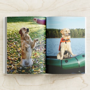Pet Memorial Photo Book, Loss of Pet Gift, Loved You Your Whole Life ...