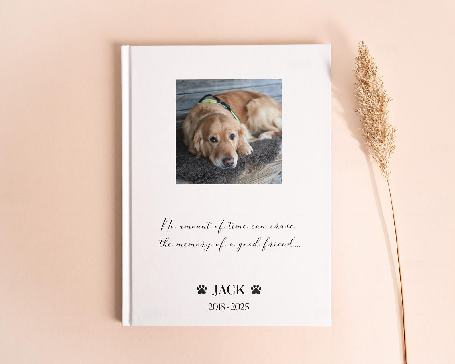 Pet Memorial Photo Book, Loss of Pet Gift, Loved You Your Whole Life ...